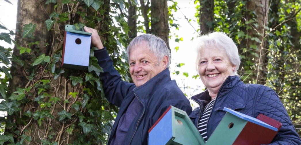 UK Lotto Winners Busy Building Bird Nesting Boxes - Play the Lottery ...